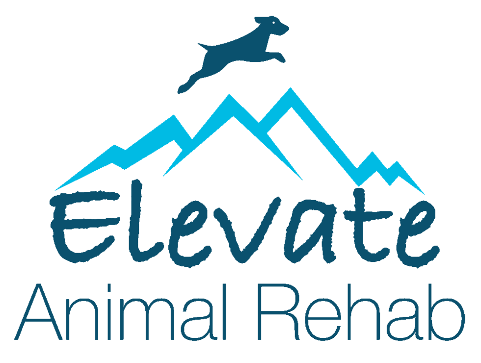 Homepage - Elevate Animal Rehab